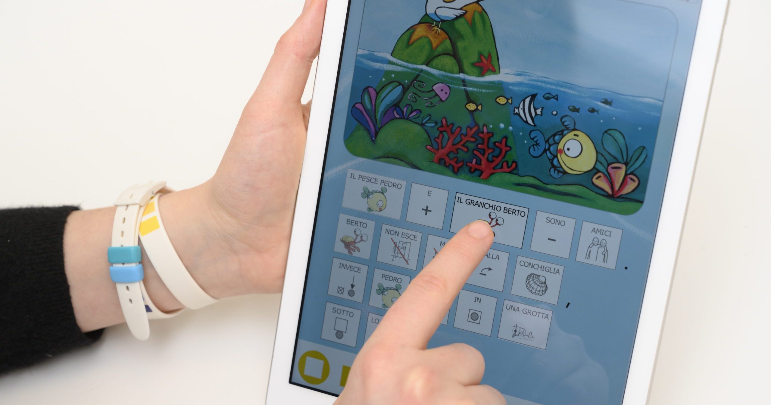 Com’è fatto un libro digitale “I libri per tutti”? | I libri per tutti